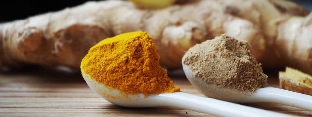 Cúrcuma: una especia para deportistas - Blog de EFAD Deportes